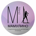 MaryLi (Osnabryukskaya ulitsa No:12к1), dans okulları  Tver'den