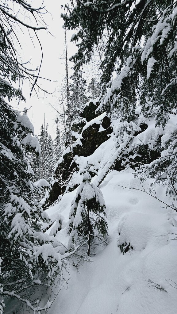 Dağ zirvesi Скала, Sverdlovskaya oblastı, foto