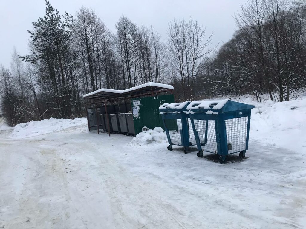 Çöp alanları Trash and garbage disposal area, Moskova ve Moskovskaya oblastı, foto
