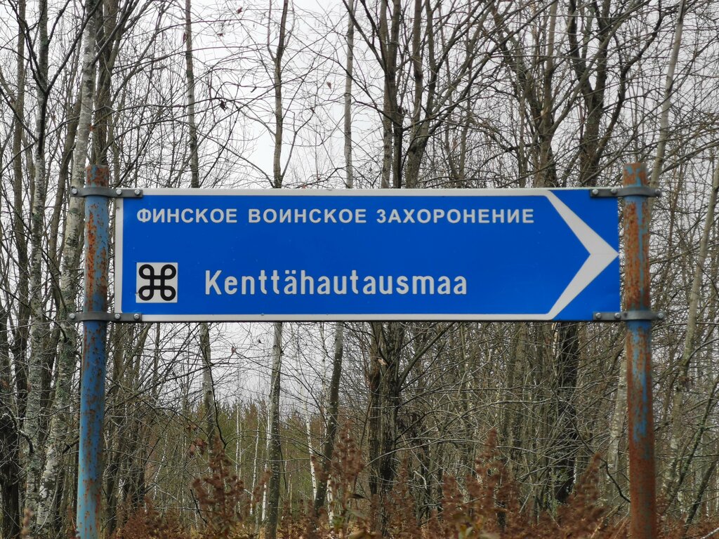 Anıt, heykel Братская могила финнов, Saint‑Petersburg ve Leningradskaya oblastı, foto