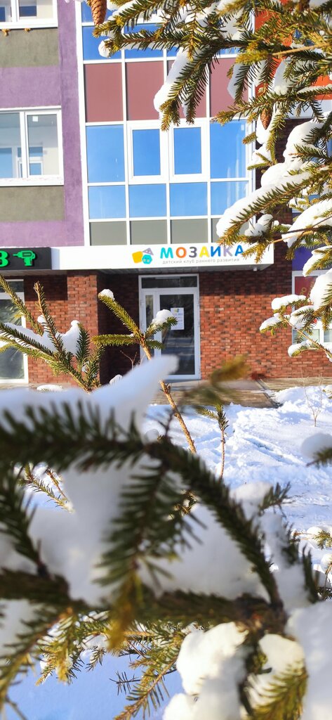 Çocuk gelişim merkezleri Мозаика, Ulyanovsk, foto