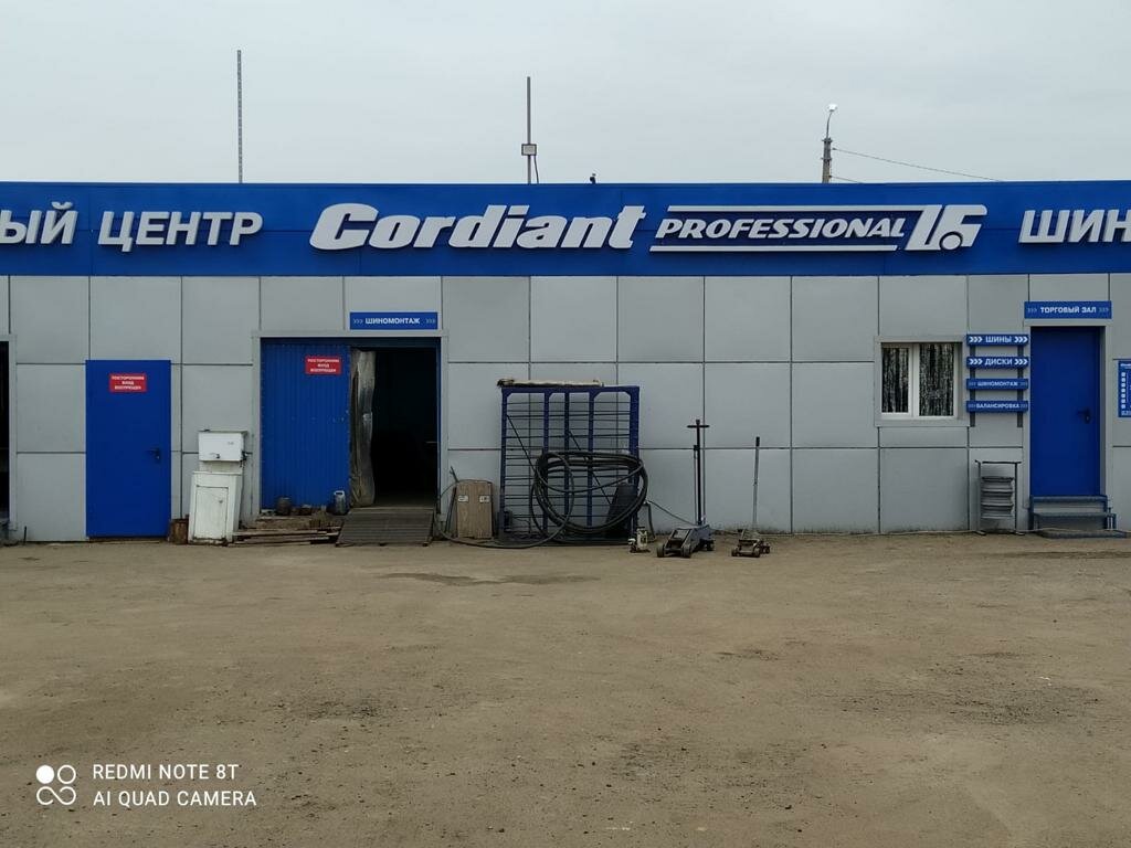 Jant ve lastikçiler Cordiant, Moskova ve Moskovskaya oblastı, foto