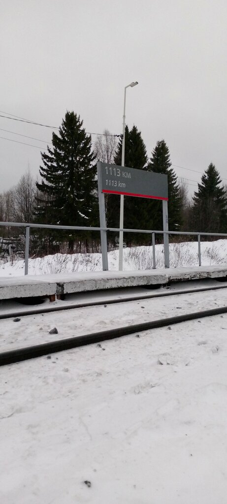 Tren istasyonu 1113 км, Arhangelskaya oblastı, foto