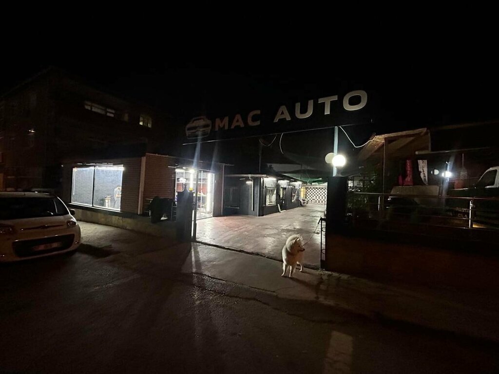 Detaylı oto bakımı Yılmaz Auto Garage, İstanbul, foto