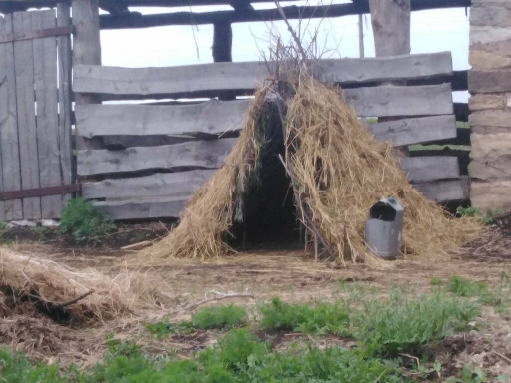 Hayvancılık Конный двор, Başkurdistan, foto