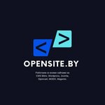 Opensite.by (Lieanida Lievina Street No:13), bilişim firmaları  Minsk'ten