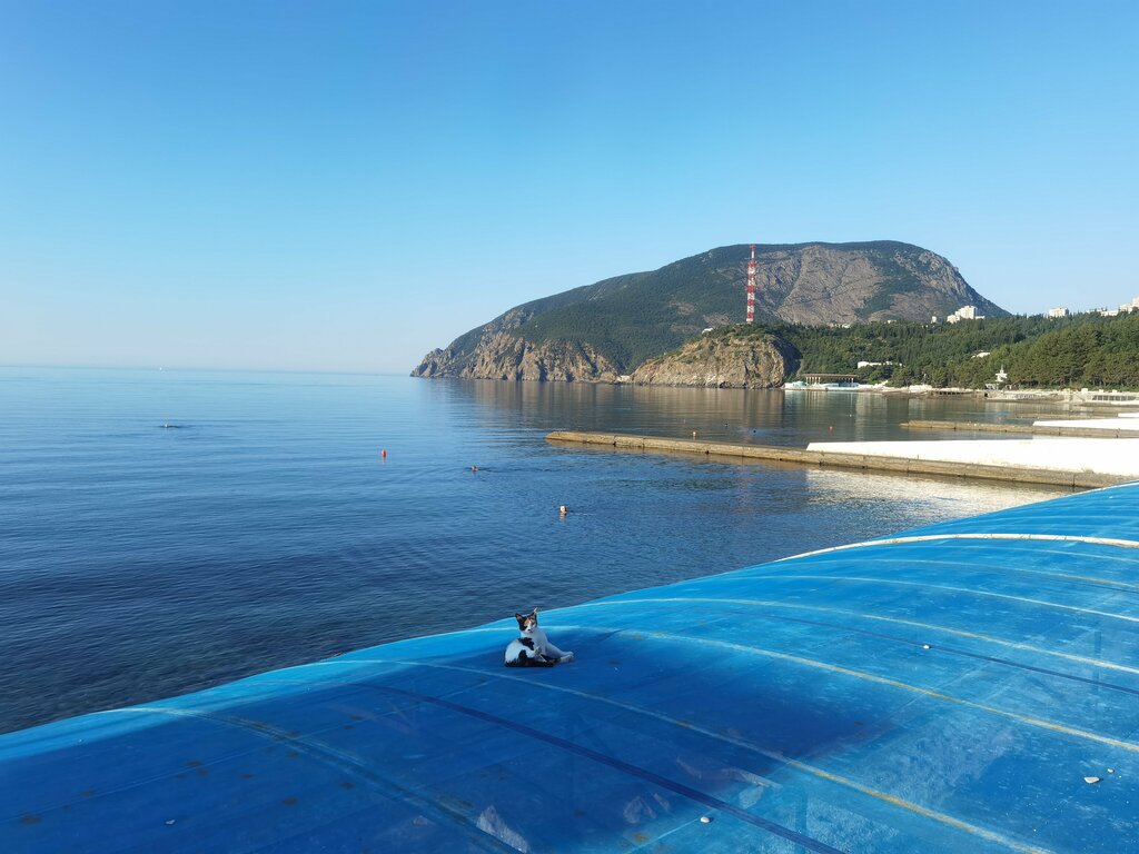 Plaj Пляж ООО База отдыха Таврида-Азот, Kırım Cumhuriyeti, foto
