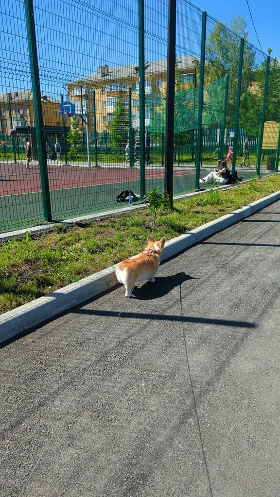Kaykay parkı Скейт-парк, Verhni Tagil, foto