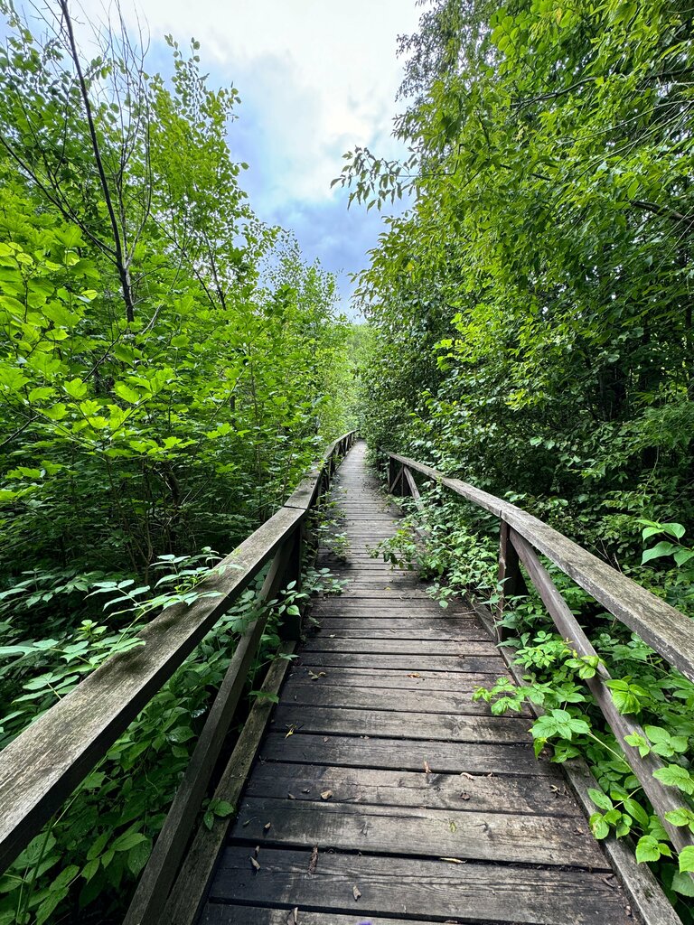 Seyir terası Observation deck, Moskova, foto