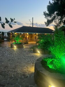 Флора (ulitsa Shaumyana No:4, Psyrtskha Village), otel  Gudauta Bölgesi'nden