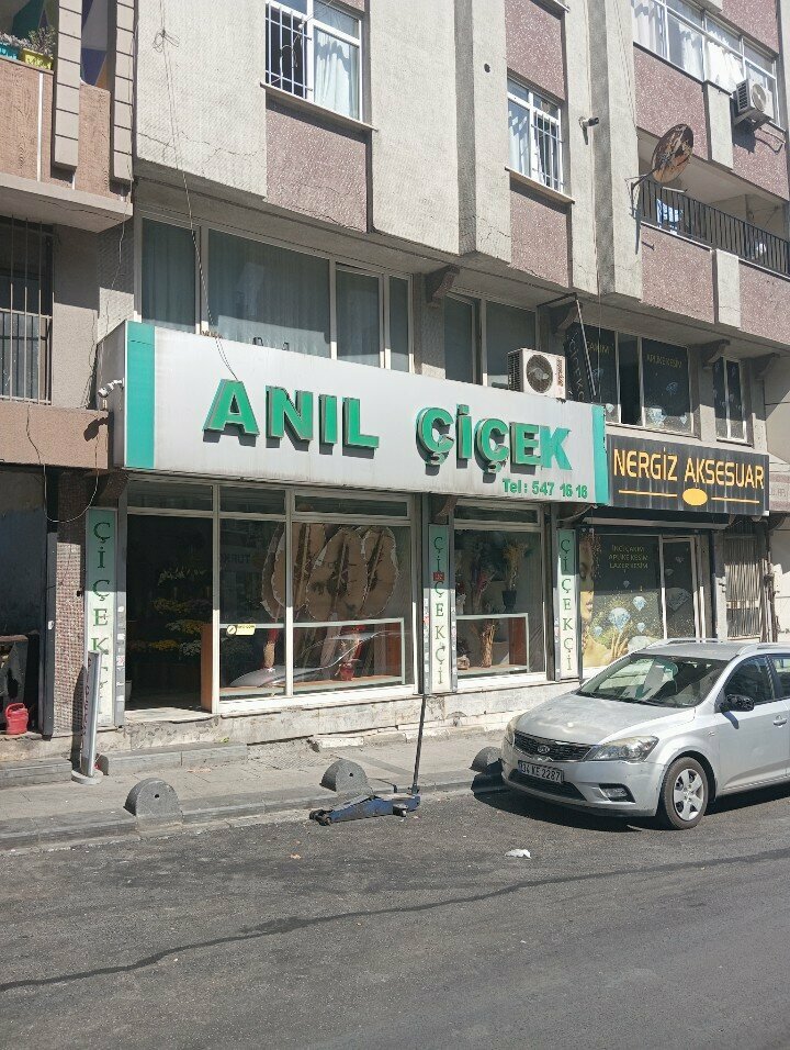 Çiçekçiler Anıl Çiçekçilik, İstanbul, foto