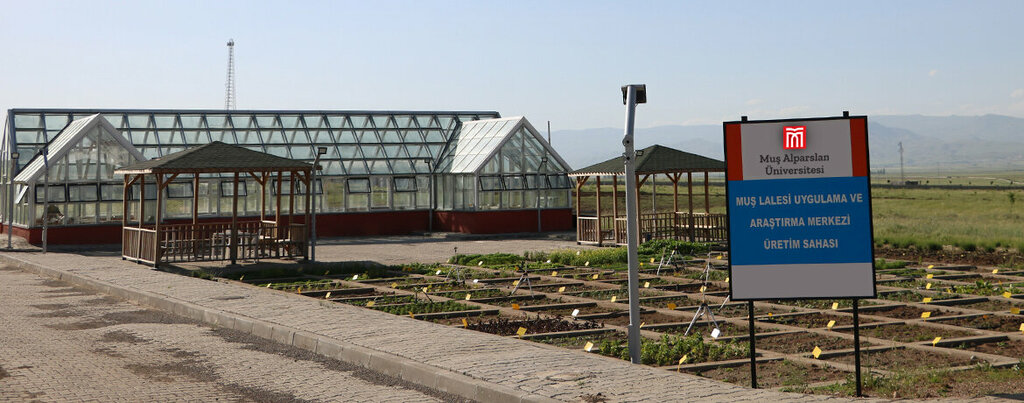 Kültür merkezleri Muş Alparslan Üniversitesi Kültür Ve Kongre Merkezi, Muş, foto