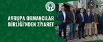 Orman Mühendisleri Odası Erzurum Şubesi (Erzurum, Yakutiye, Ömer Nasuhi Bilmen Mah., Kurt Deresi Sok.), yönetim ofisi  Erzurum'dan