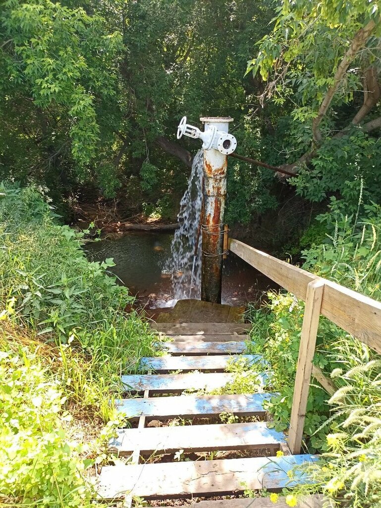 Pınar, çay Spring, stream, Altayski krayı, foto