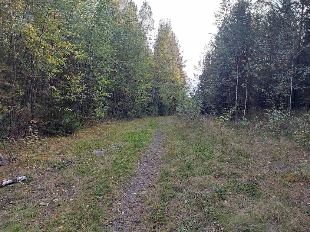 Dağ zirvesi Гора Тёплая, Sverdlovskaya oblastı, foto