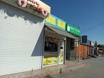 Oua Ulei (strada Pacii No:20, orașul Stăuceni), market  Moldova'dan