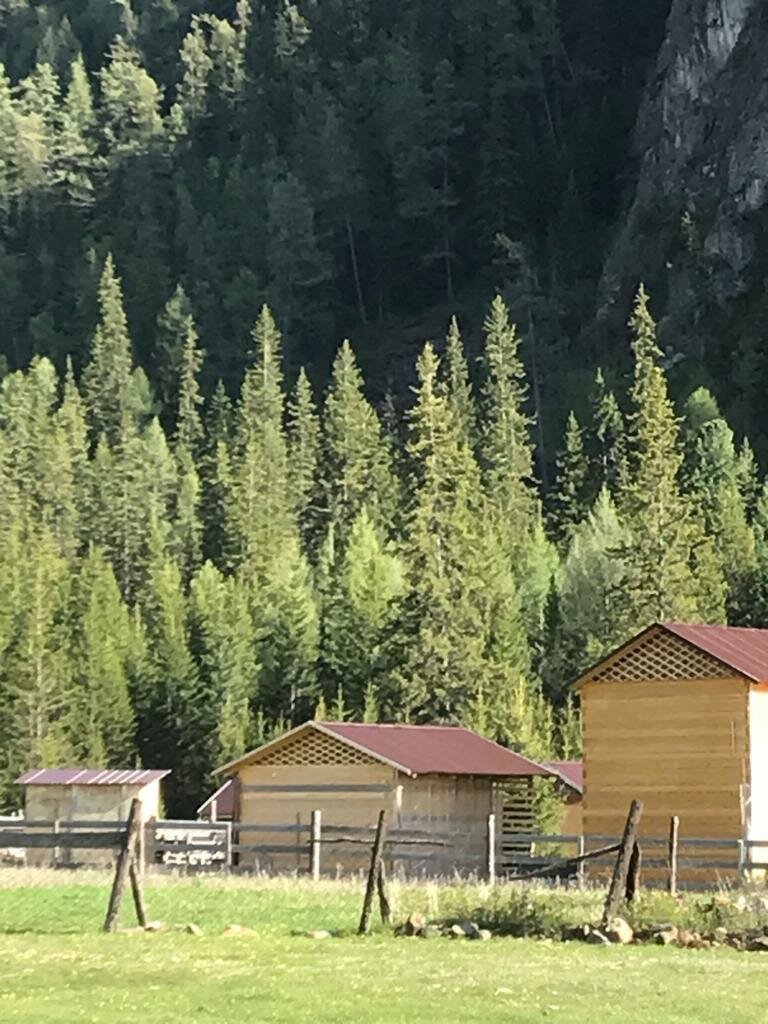 Konuk evi Gostevoj dom v Gornom Altae, Gorno‑Altaysk, foto