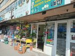 Магазин цветов (Giorgi Chitaia Street No:39A), çiçekçiler  Tiflis'ten