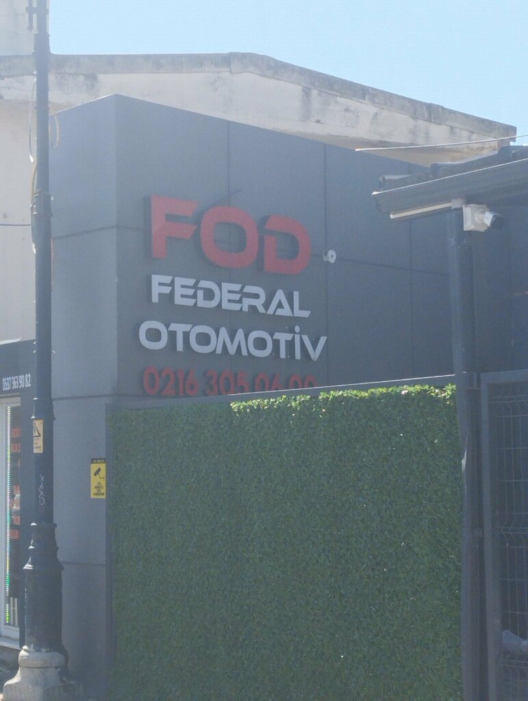 Araba seçimi hizmeti Fod Federal Otomotiv, İstanbul, foto
