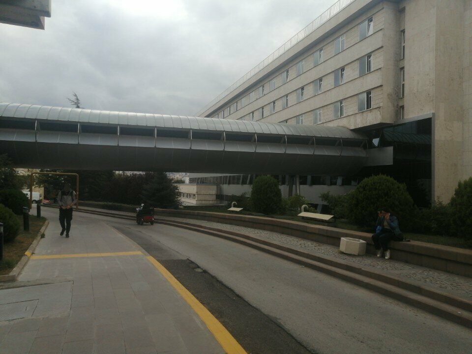 Üniversiteler Hacettepe Üniversitesi Tıp Fakültesi Anatomi Anabilim Dalı, Ankara, foto