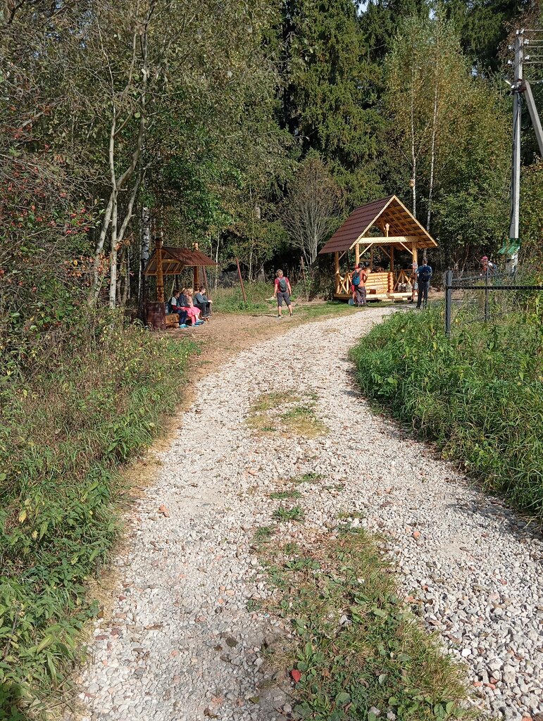 Pınar, çay Spring, stream, Moskova ve Moskovskaya oblastı, foto