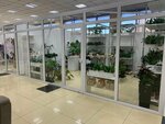 Indoor Plant Store (Saken Seyfullin Street No:50), çiçekçiler  Temirtav'dan