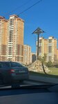 Памятный крест (Moscow, Dmitrovskoye shosse (dublyor)), şapel, haç anıtı  Moskova'dan