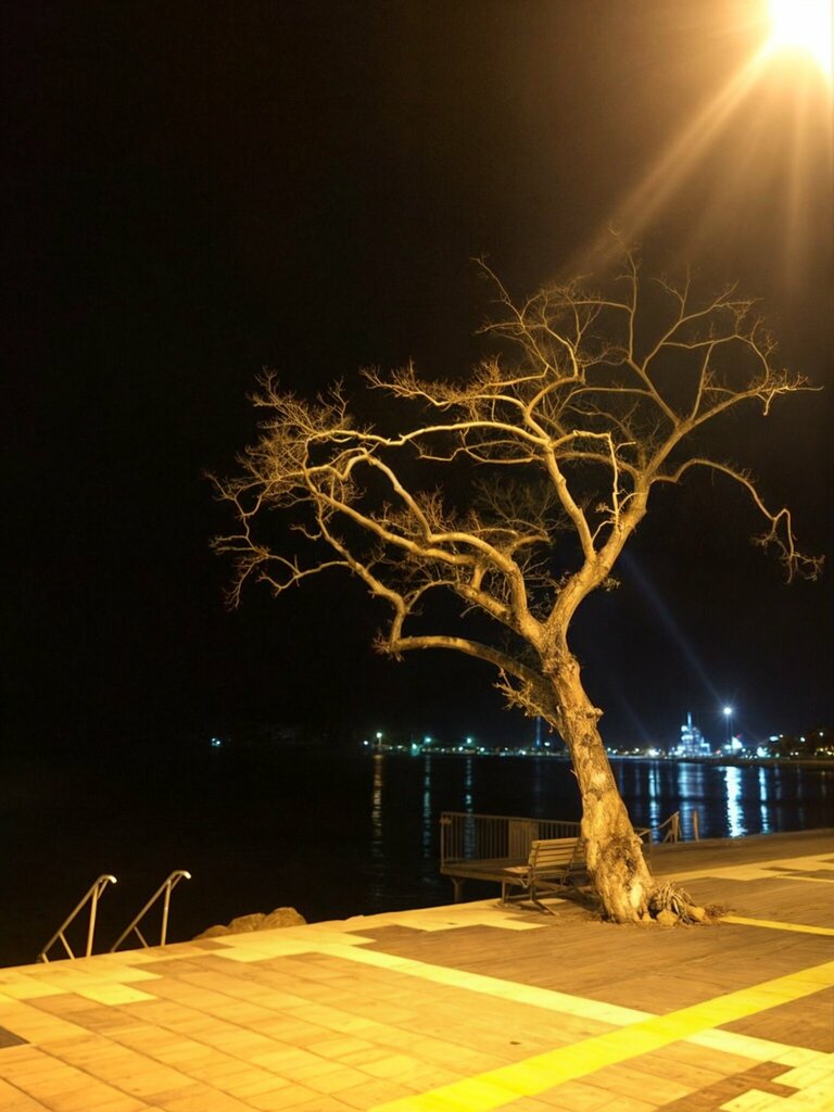 Turistik yerler Anıt Ağaç, Erdek, foto