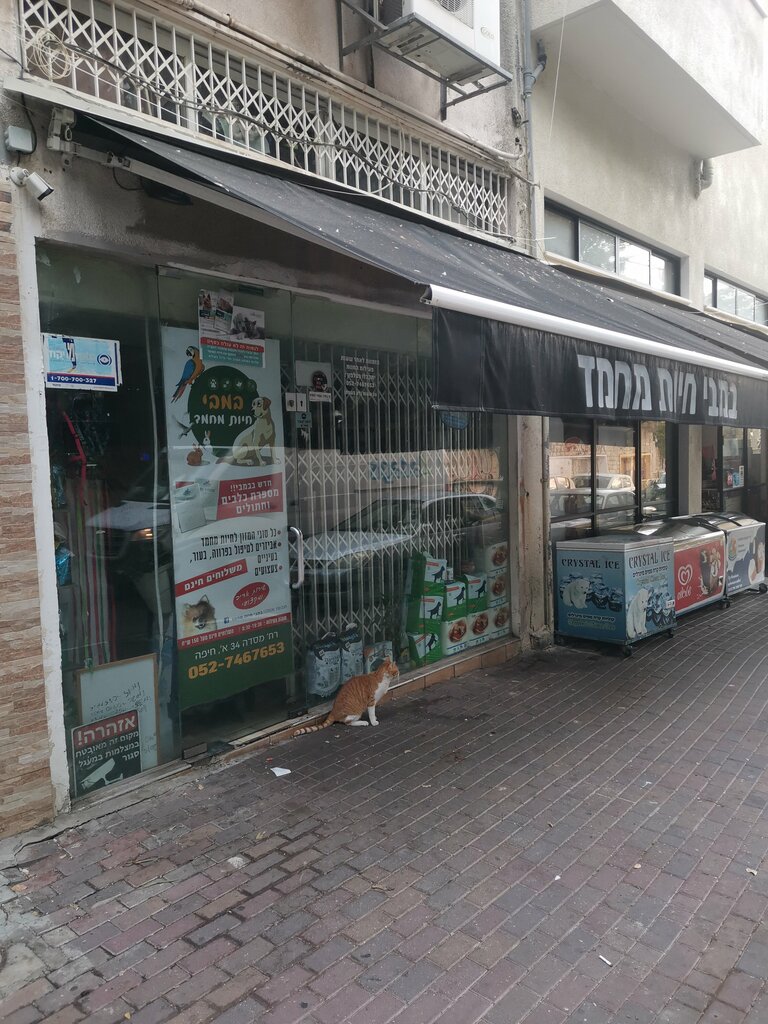 Petshop במבי חיות מחמד, Hayfa, foto