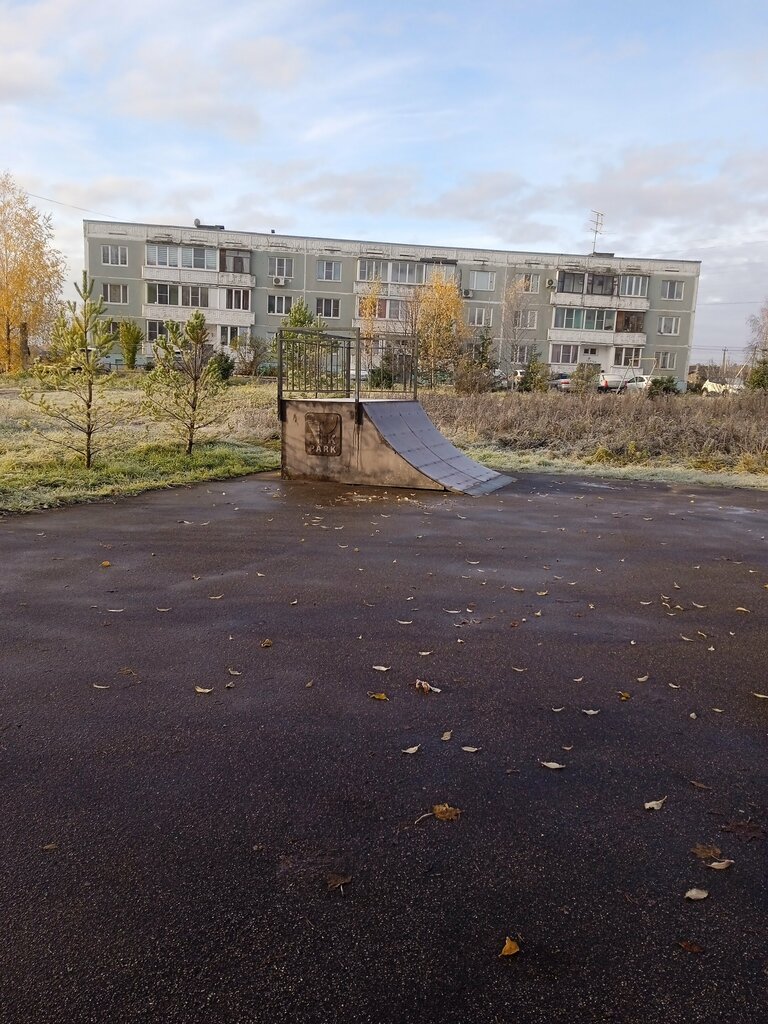 Kaykay parkı Скейт-парк, Moskova ve Moskovskaya oblastı, foto