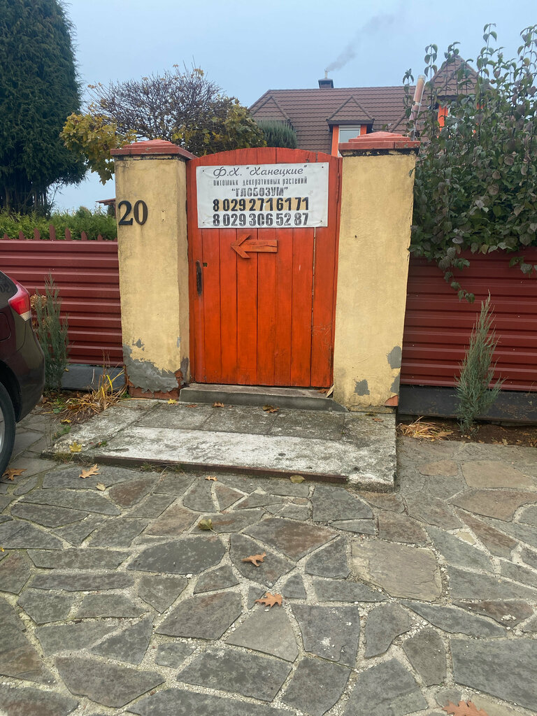 Sera ve bahçe ürünleri Pitomnik Globozum, Minskaya oblastı, foto