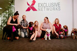Exclusive Networks Me (Al Shatha Tower, Al Safouh Second, Jumeirah, Dubai), bilişim firmaları  Dubai'den