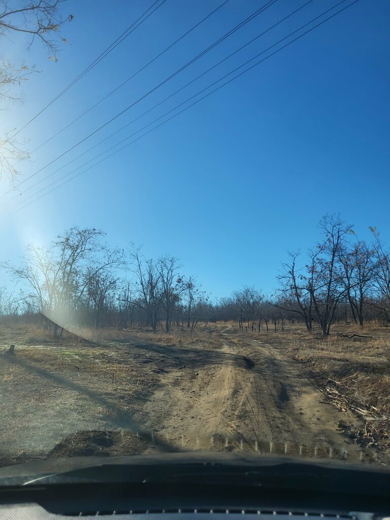 Kültür ve eğlence parkları Кисличанский парк, Svetlograd, foto