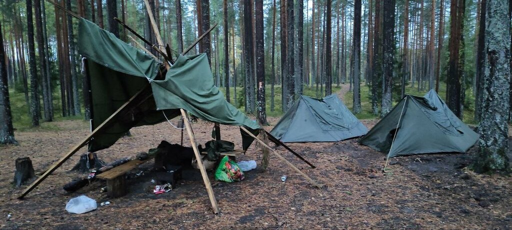 Piknik alanı Place for picnic, Saint‑Petersburg ve Leningradskaya oblastı, foto