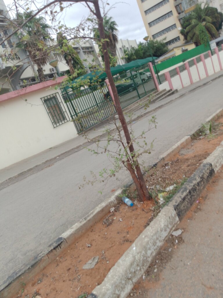 Eğitim merkezleri Bureau d'Études de la Langue Française en Angola, Loanda, foto