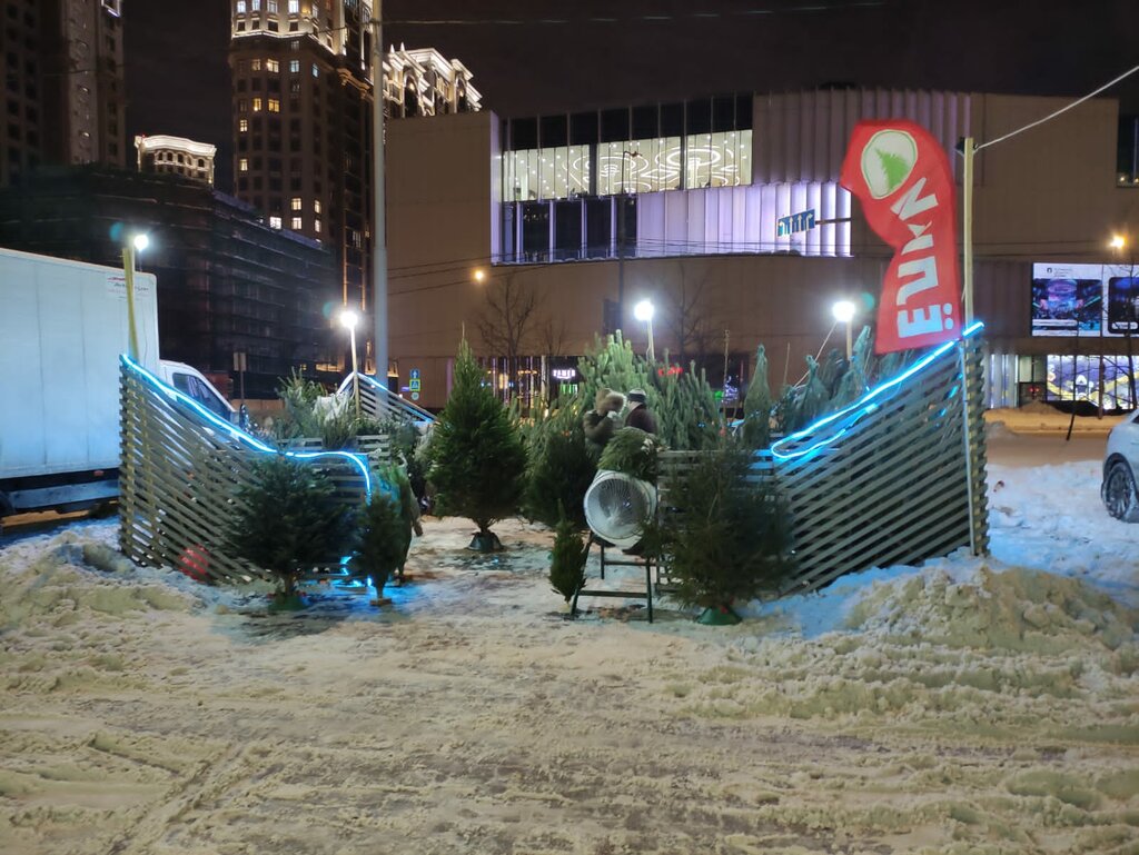 Çam ağacı pazarı Elki 77, Moskova, foto