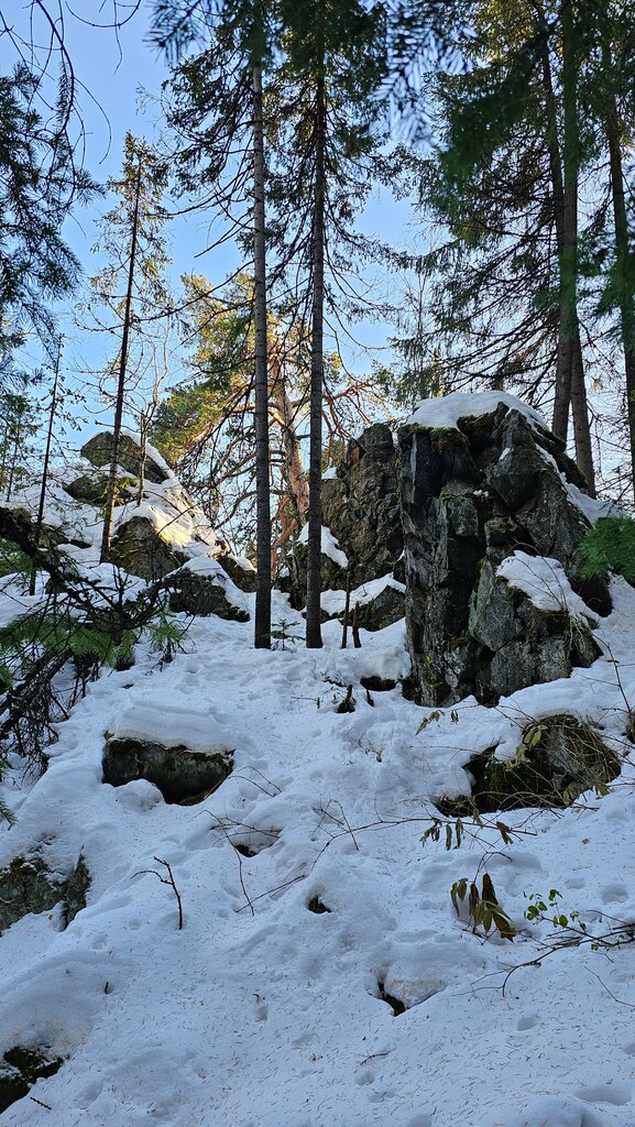 Dağ zirvesi Скала, Sverdlovskaya oblastı, foto