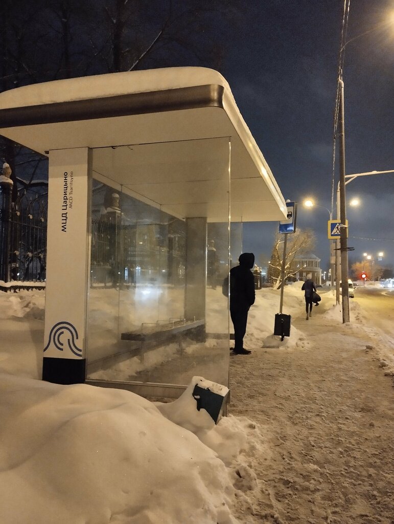 Toplu taşıma durağı MCD Tsaritsyno, Moskova, foto