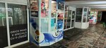 Lavazza (Chisinau, Stefan cel Mare Boulevard), al götür kahve  Kişinev'den