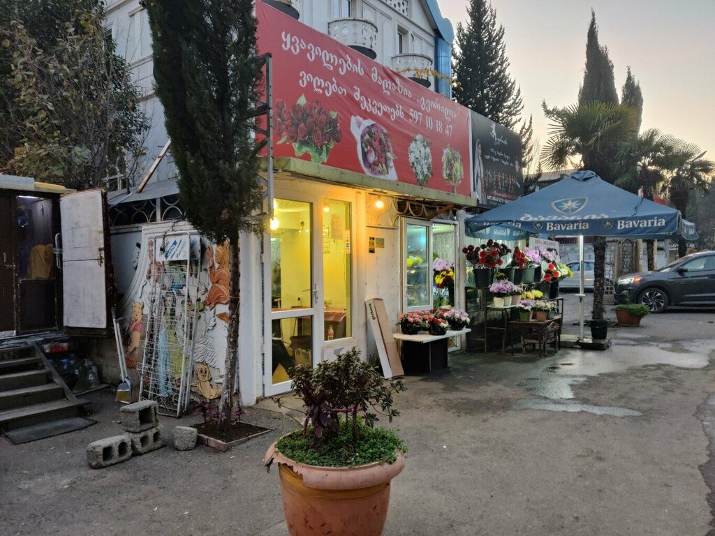 Çiçekçiler გვირილა, Tiflis, foto
