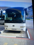 Novorossiysk Bus Terminal (Krasnodar Territory, Novorossiysk, Vidova Street), toplu taşıma durağı  Novorossiysk'ten
