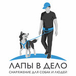Lapy V delo (Shaumyana Street No:107), petshop  Yekaterinburg'dan