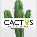 Cactus (Volokha Street No:80), çiçekçiler  Engels'ten