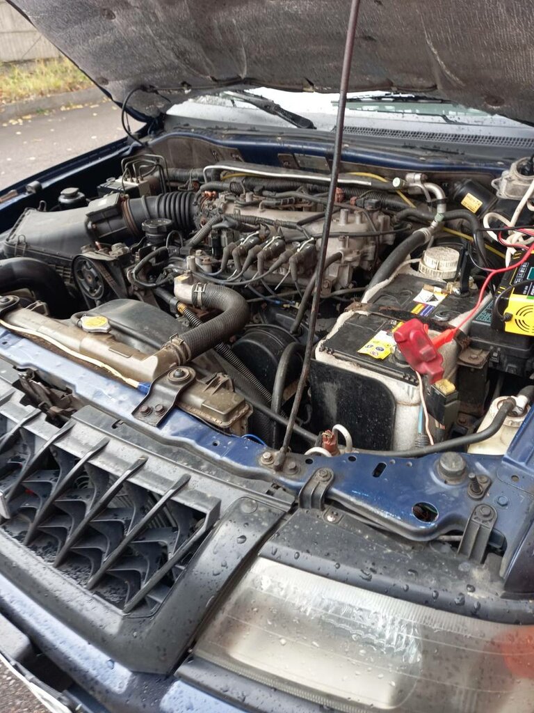 Oto elektrik tamiri Chip avto, Moskova, foto