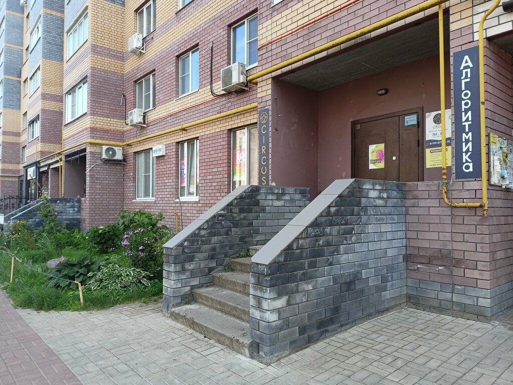 Bilgisayar kursları Algoritmika, Bor, foto