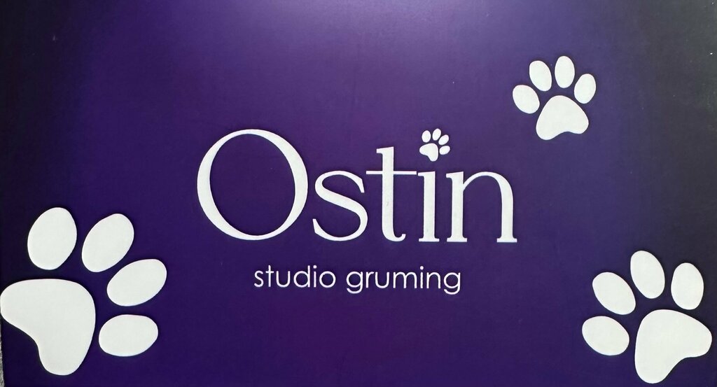 Evcil hayvan kuaförleri Ostin_studiogruming, Borisov, foto