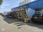 Дары природы (Pobedy Avenue No:124), manavlar  Penza'dan