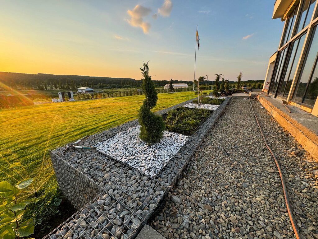 Fidan yetiştiriciliği Резиденция Зеленый континент, Krasnodarski krayı, foto