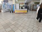 ИгНат (40 Let Pobedy Street No:72), kanatlı hayvan ürünleri ve yumurta  Izhevsk'ten