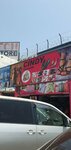Cindy fashion (Freedom Way No:802), mankenlik ajansları  Lusaka'dan